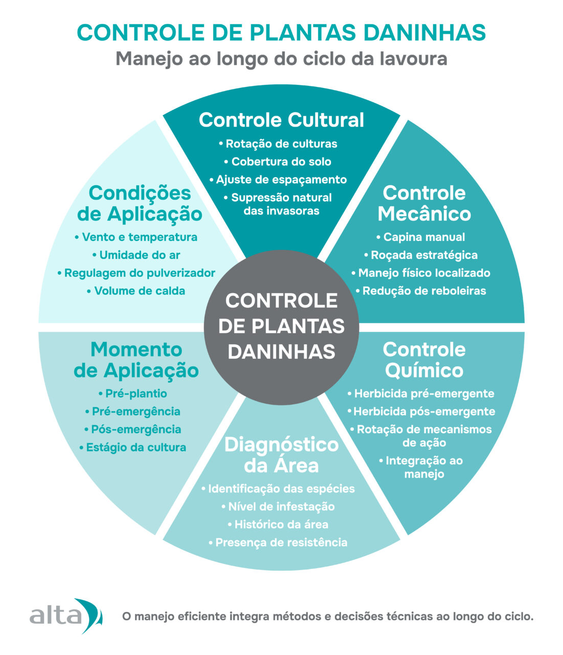 Controle de plantas daninhas: métodos e como fazer o manejo